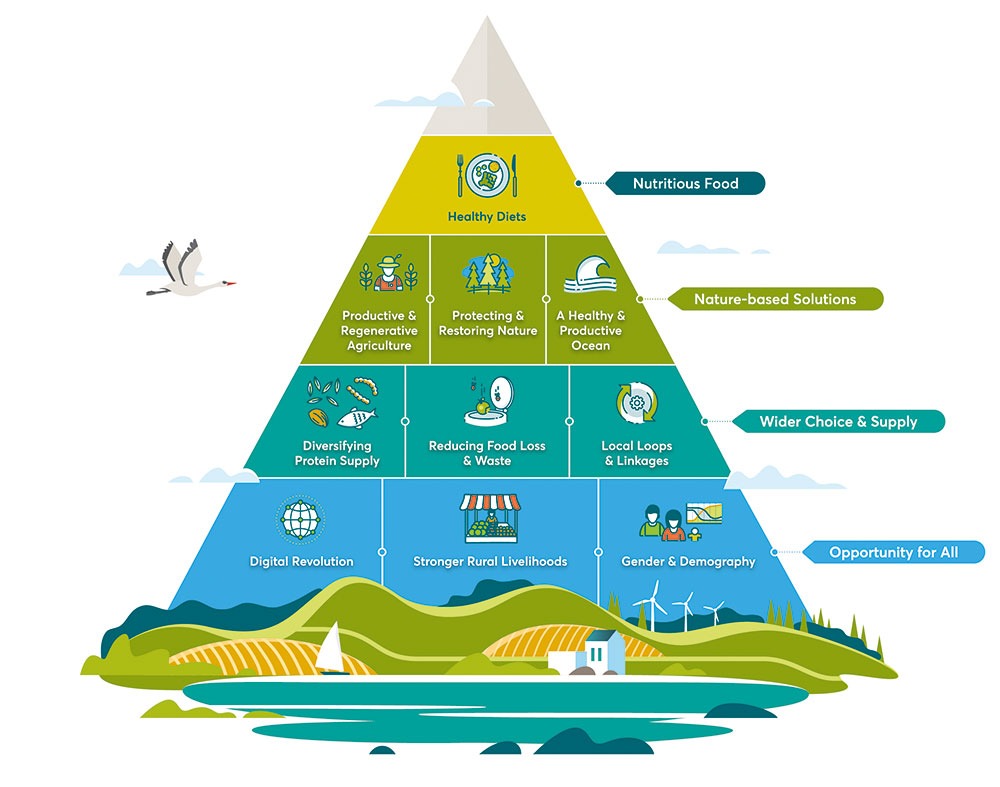About - Food and Land Use Coalition