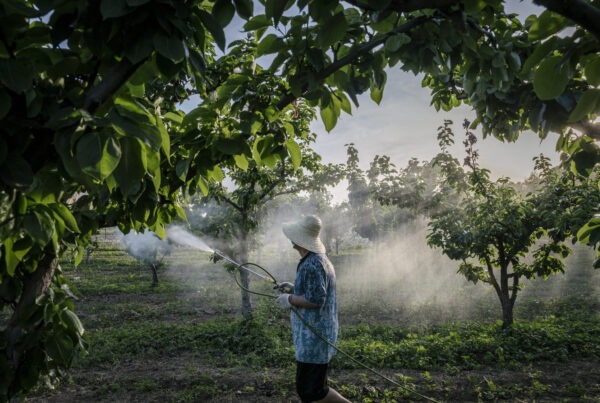 Food and Land Use Coalition | A brighter future for people & planet