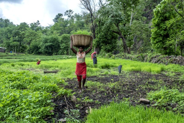 Food and Land Use Coalition | A brighter future for people & planet
