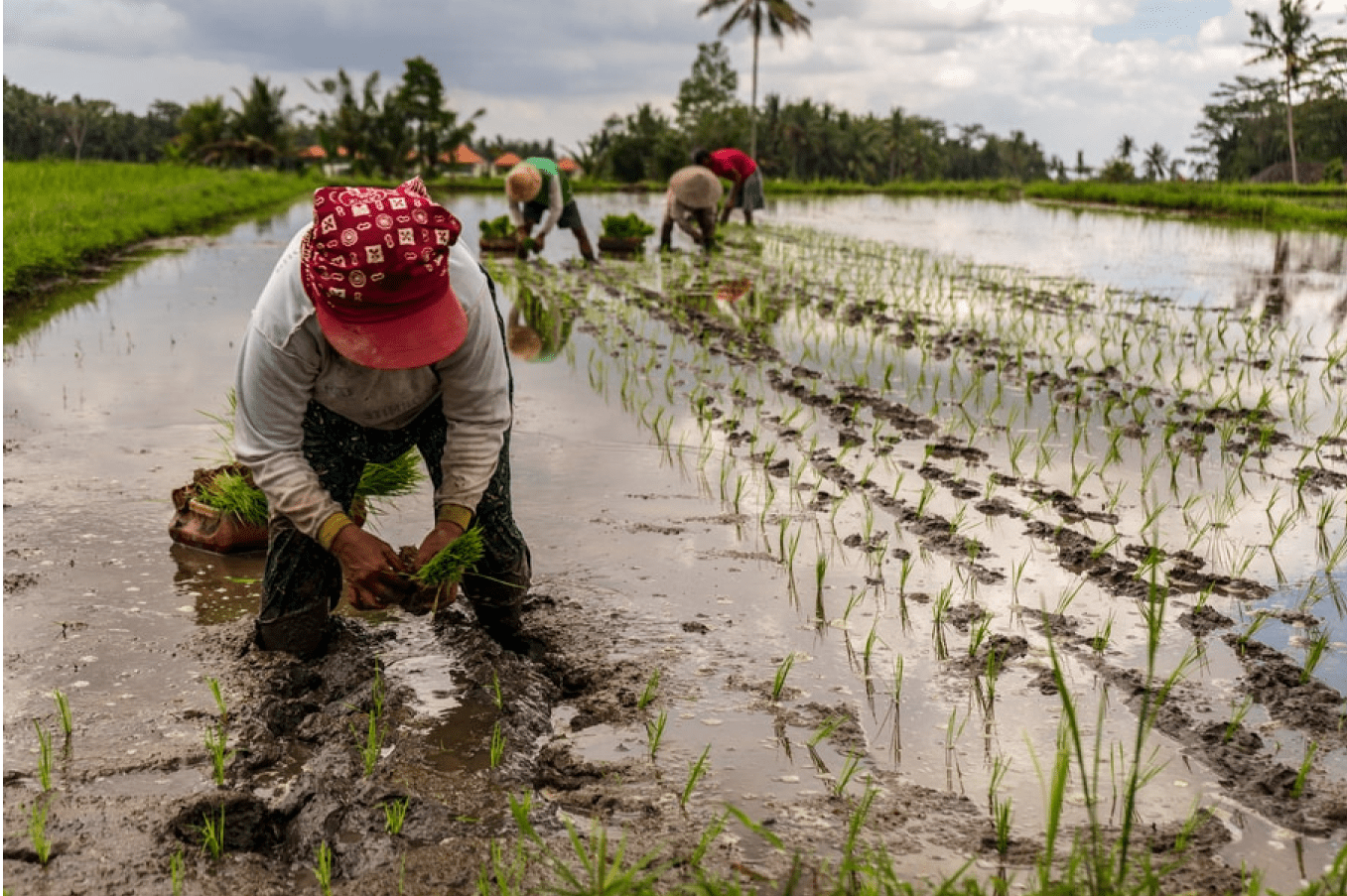 WRI - Food and Land Use Coalition
