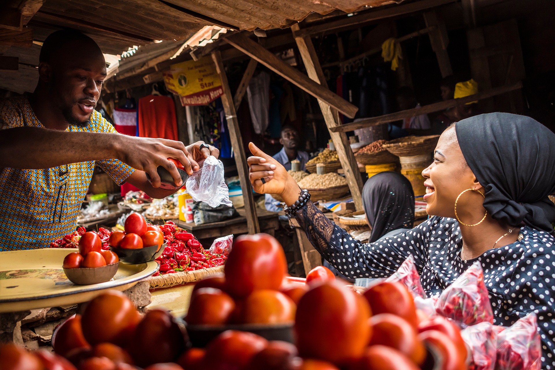 Food and Land News | Sustainable Blog & Insights | FOLU