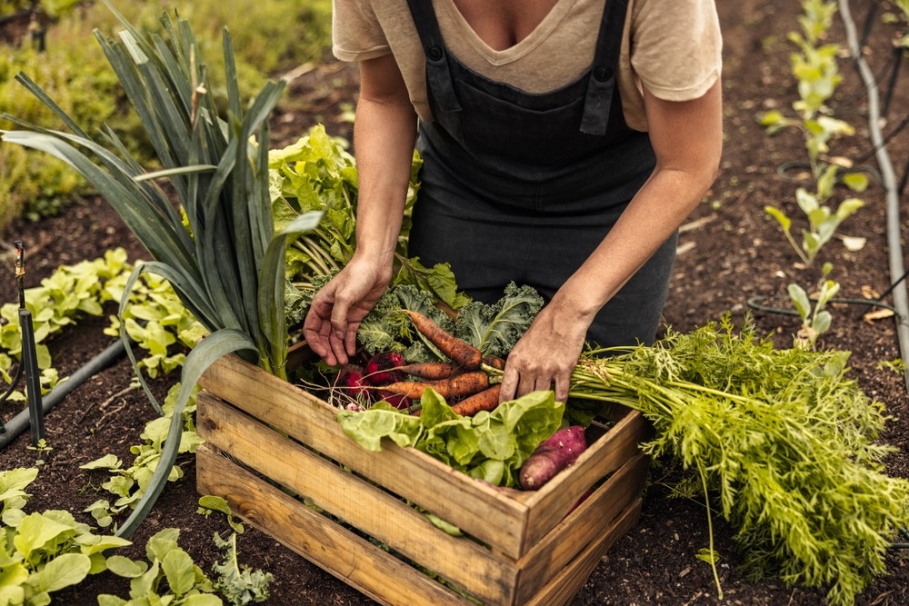 GAIN - Food and Land Use Coalition