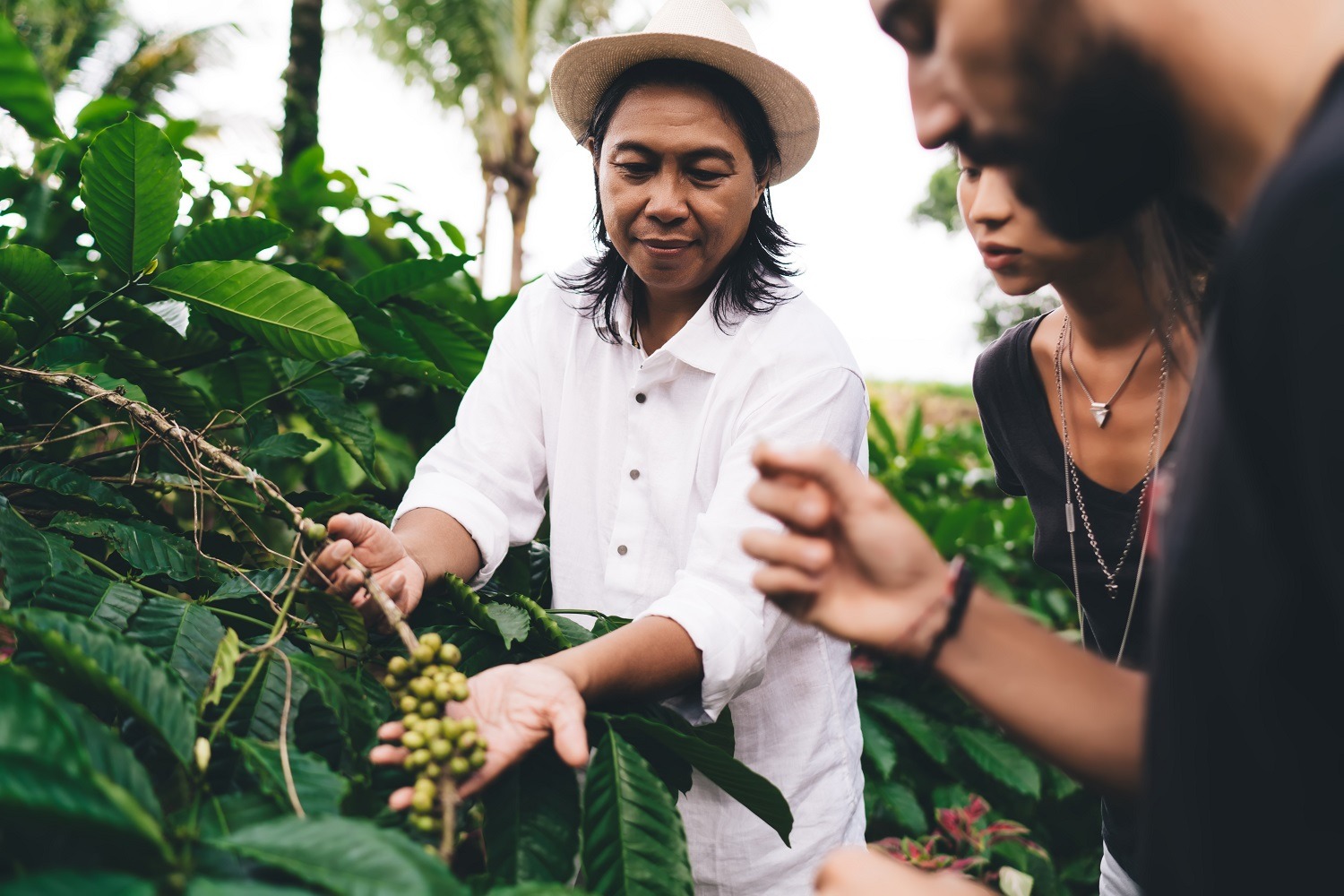 Ambassadors - Food and Land Use Coalition