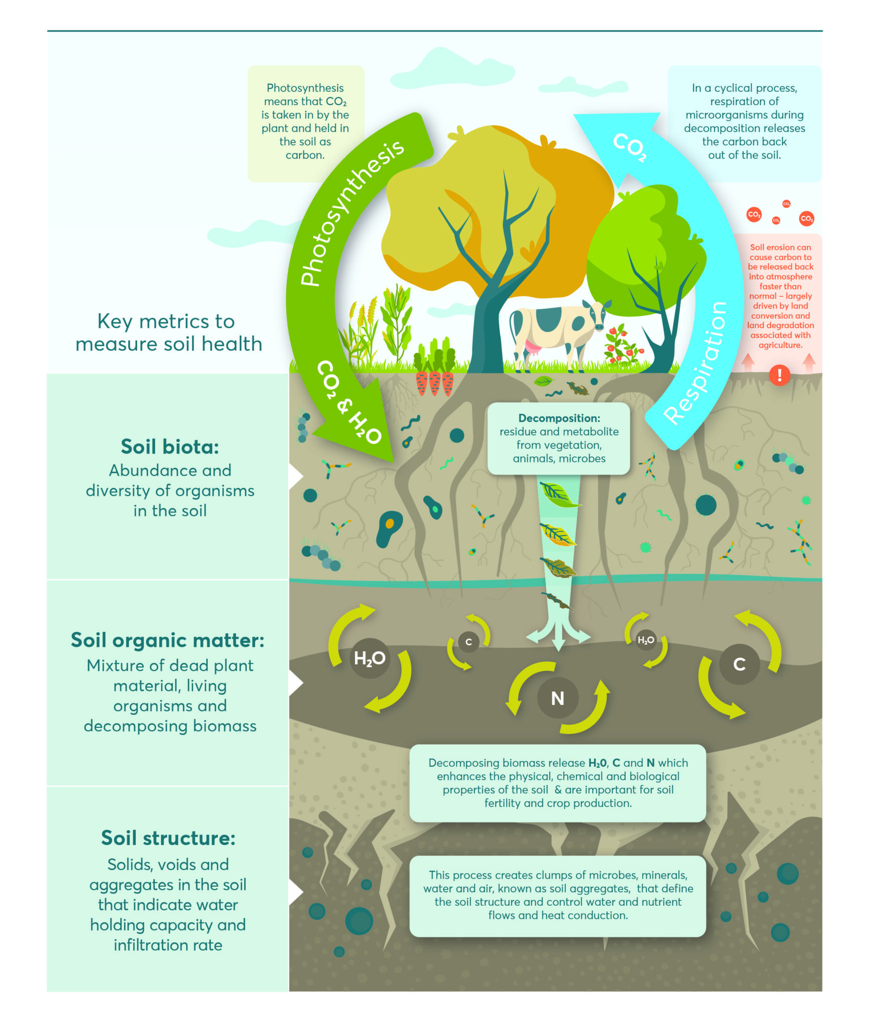 Aligning regenerative agricultural practices with outcomes to deliver ...