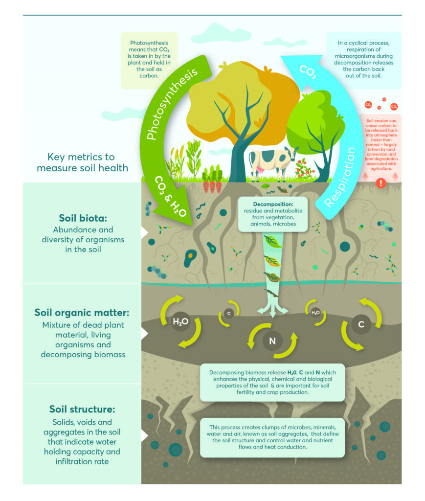 Regenerative Agriculture Outcomes | People's Alliance | FOLU