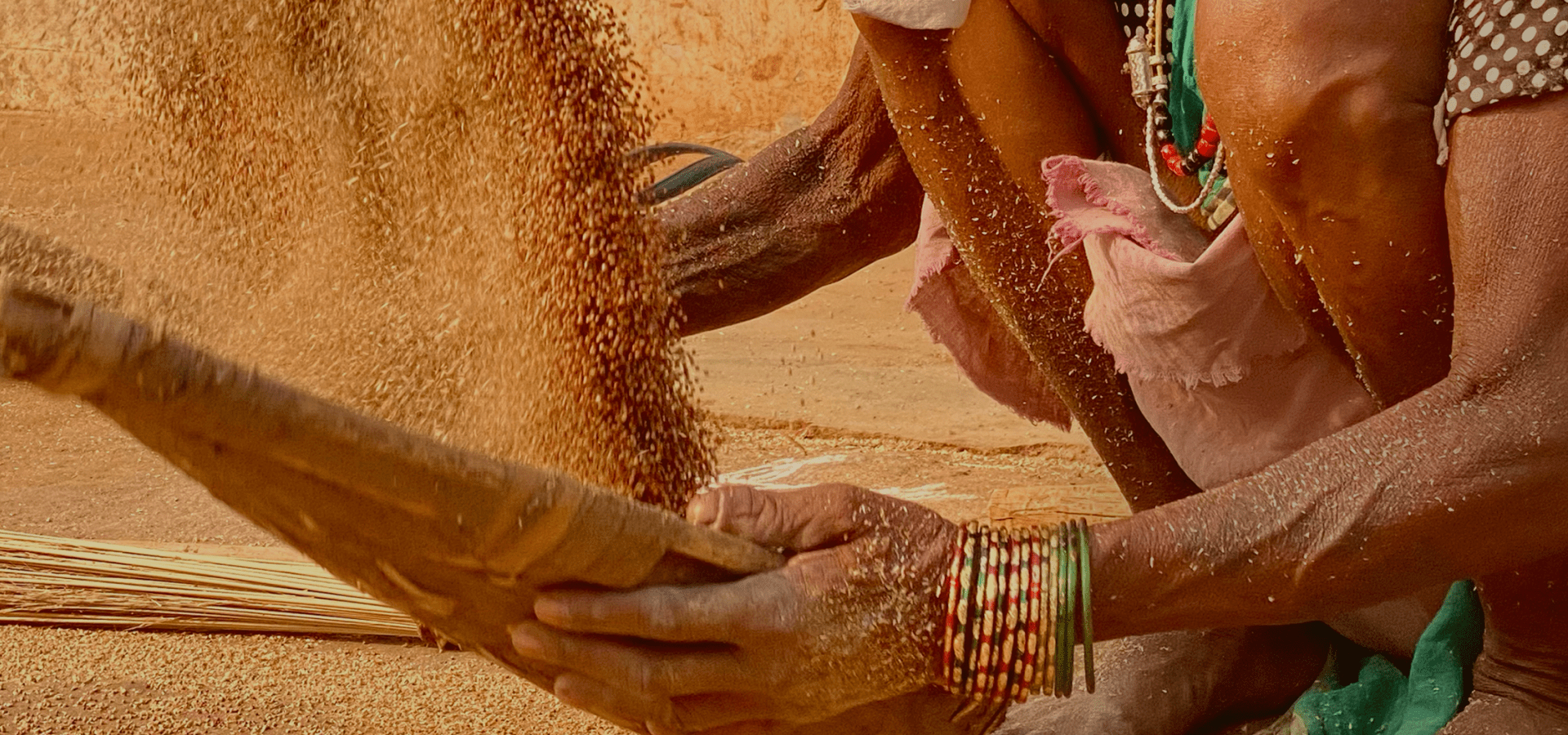 Millets for people and the planet - Food and Land Use Coalition