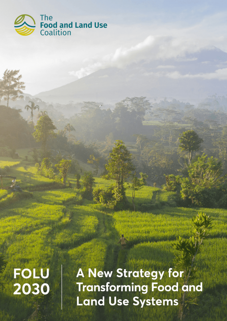 FOLU 2030: A New Strategy for Transforming Food and Land Use Systems ...